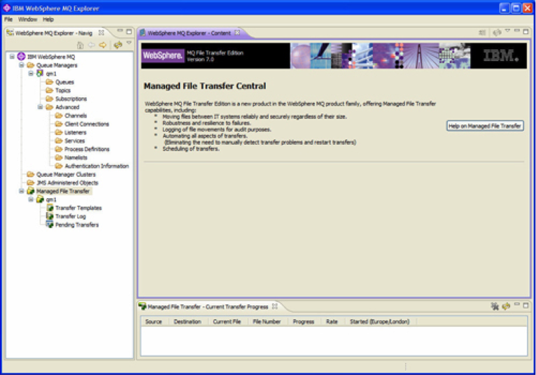 IBM Sterling Managed File Transfer - Focused E-Commerce